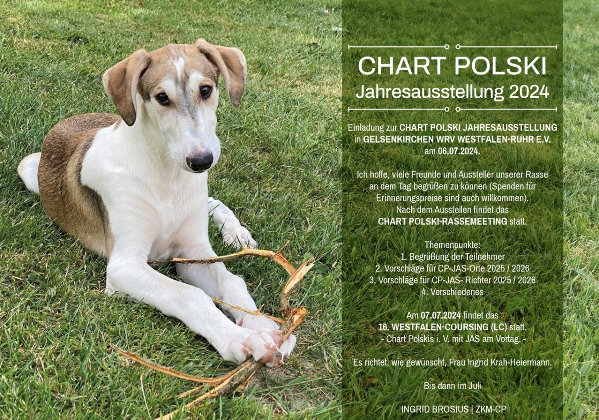 Weitere Infos Chart Polski